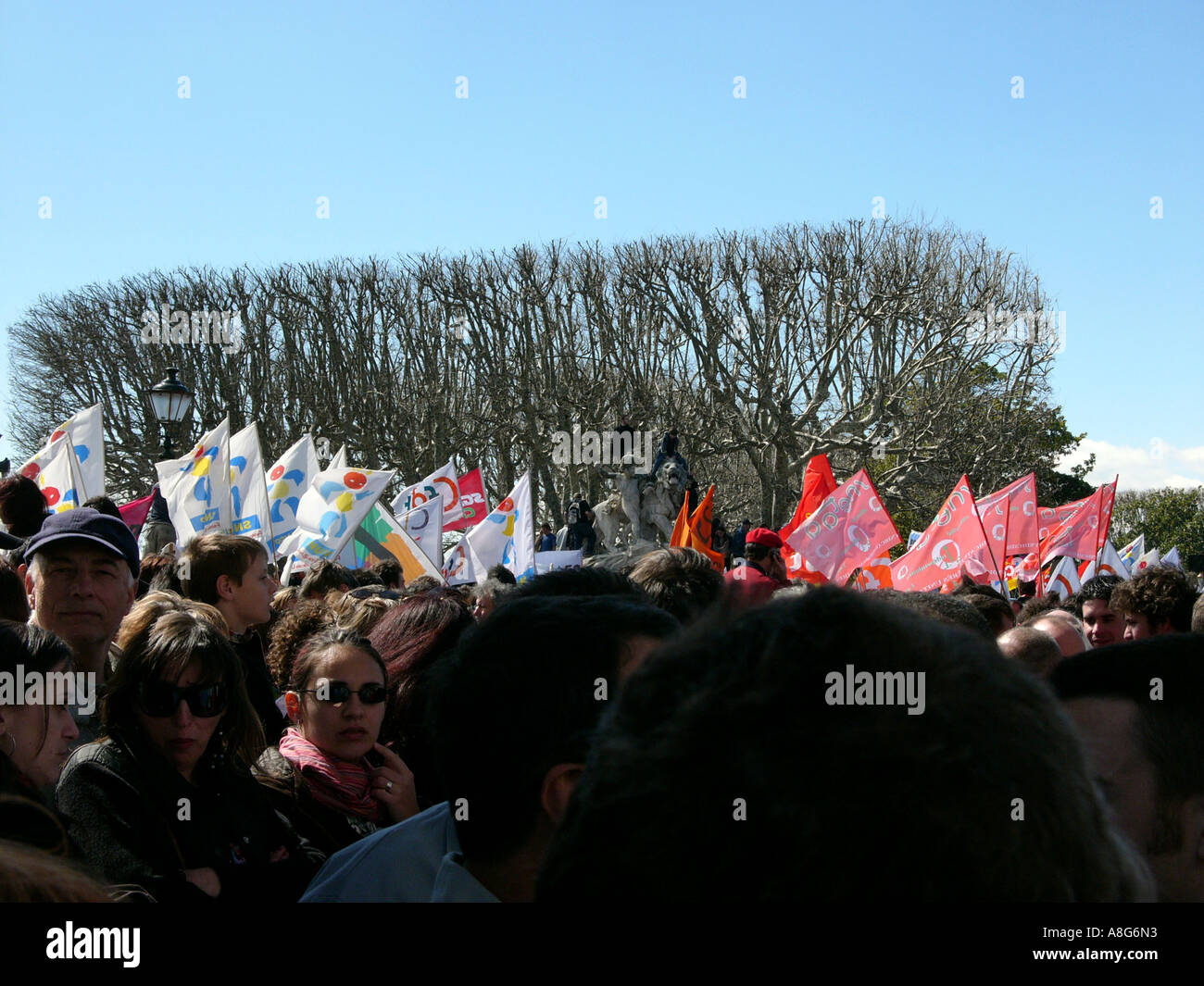 large crowd of demonstrators with trees and banners in background Stock ...