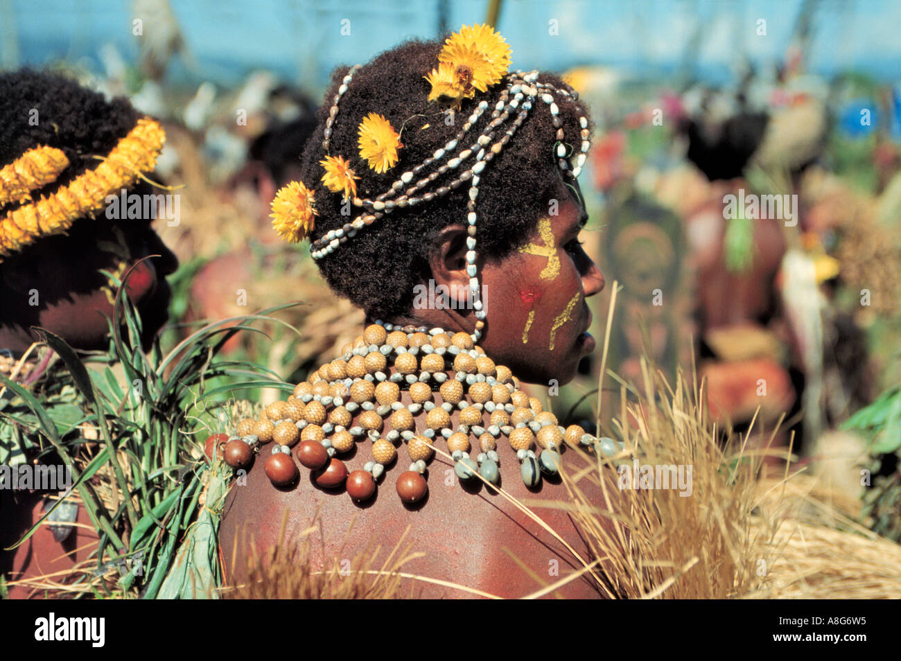 decorated female aboriginal, Mt. Hagen, Papua New Guinea Stock Photo ...