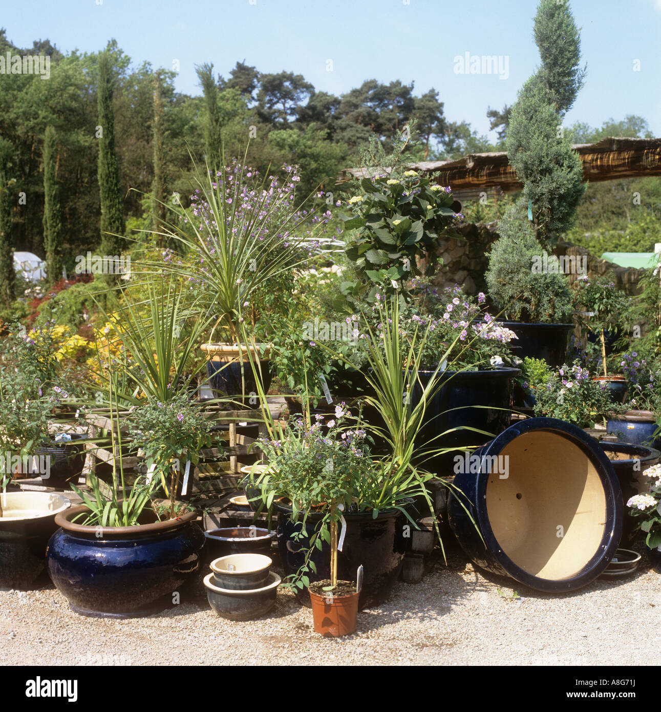 Balcony garden different plants hi-res stock photography and images - Alamy
