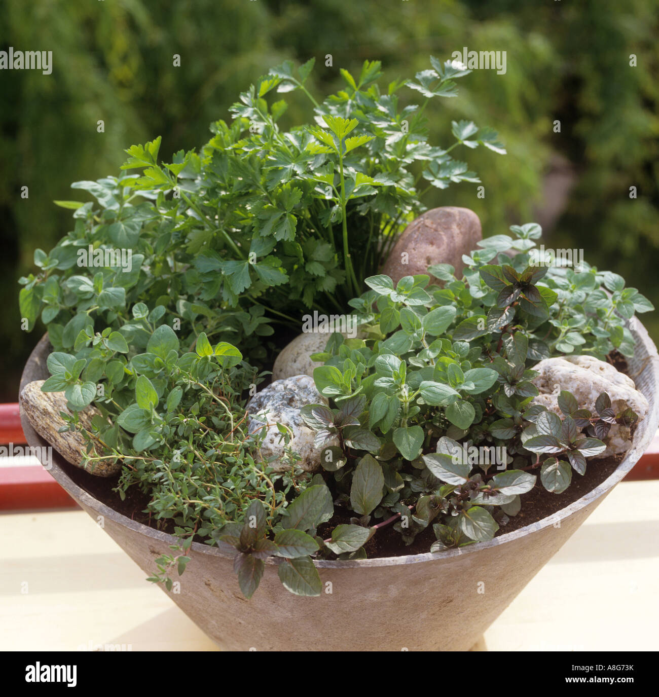 Tub herbs hi-res stock photography and images - Alamy