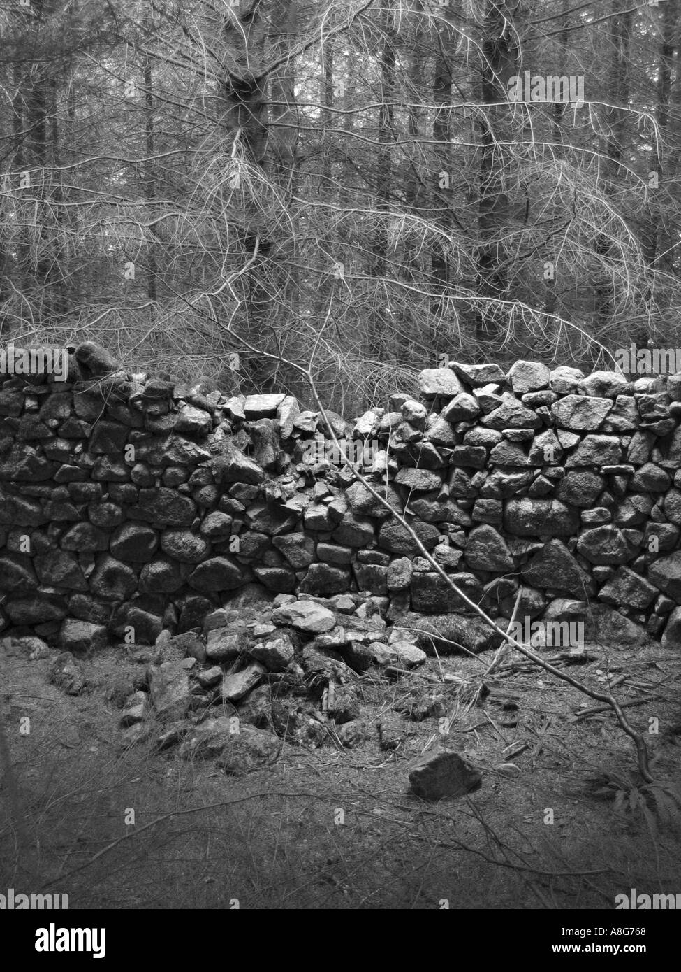 Broken footpath Black and White Stock Photos & Images - Alamy