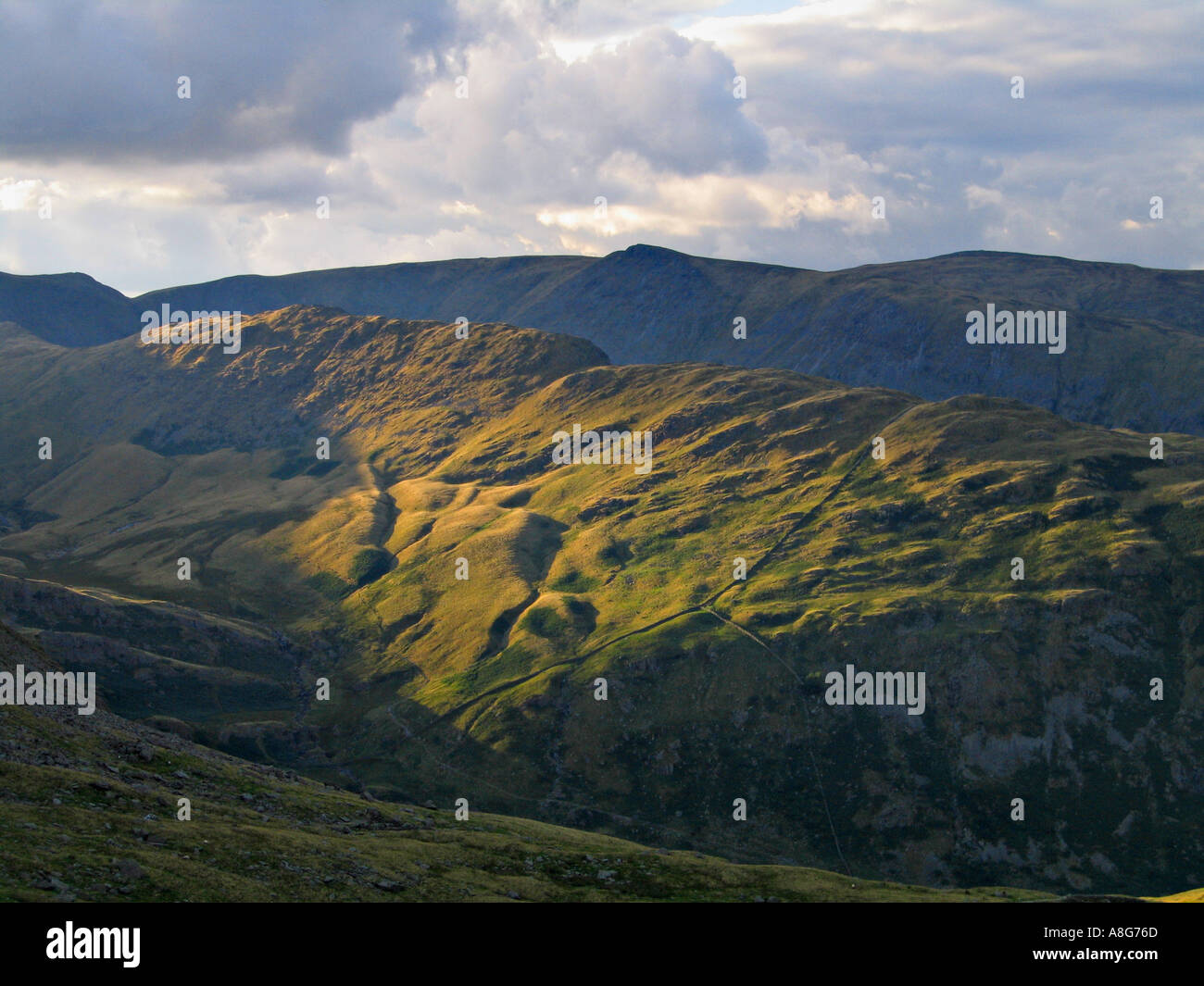 Lumpy grass hi-res stock photography and images - Alamy