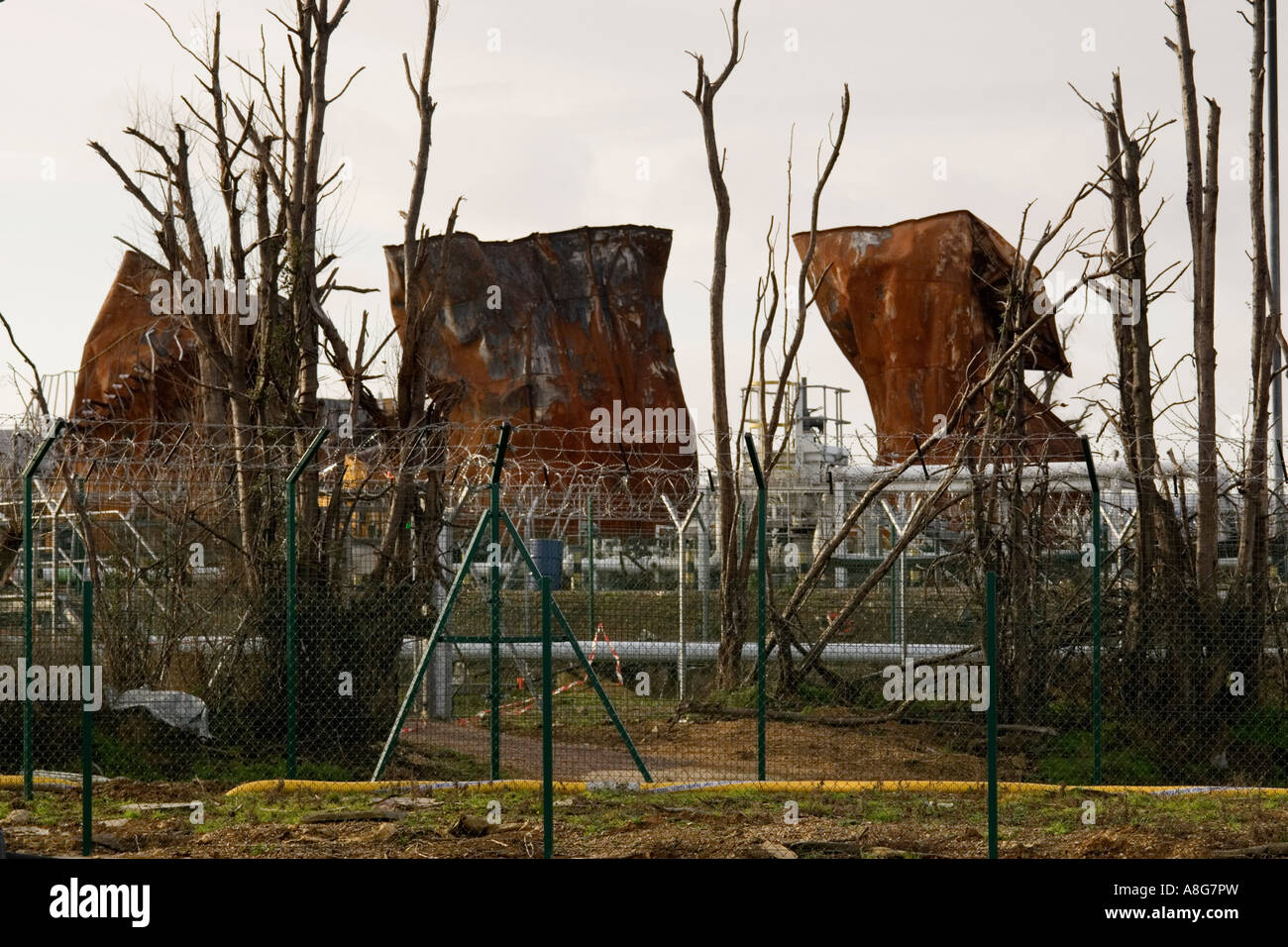 Damaged oil tanks and charred trees, Buncefield depot, Hemel Hempstead ...