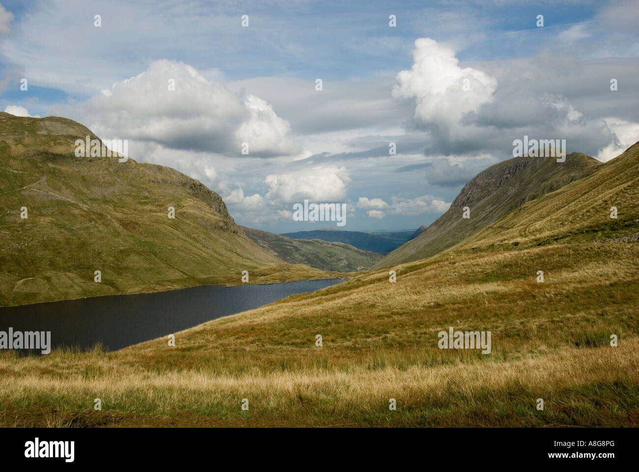 Grizedale Tarn, Lake District Stock Photo - Alamy