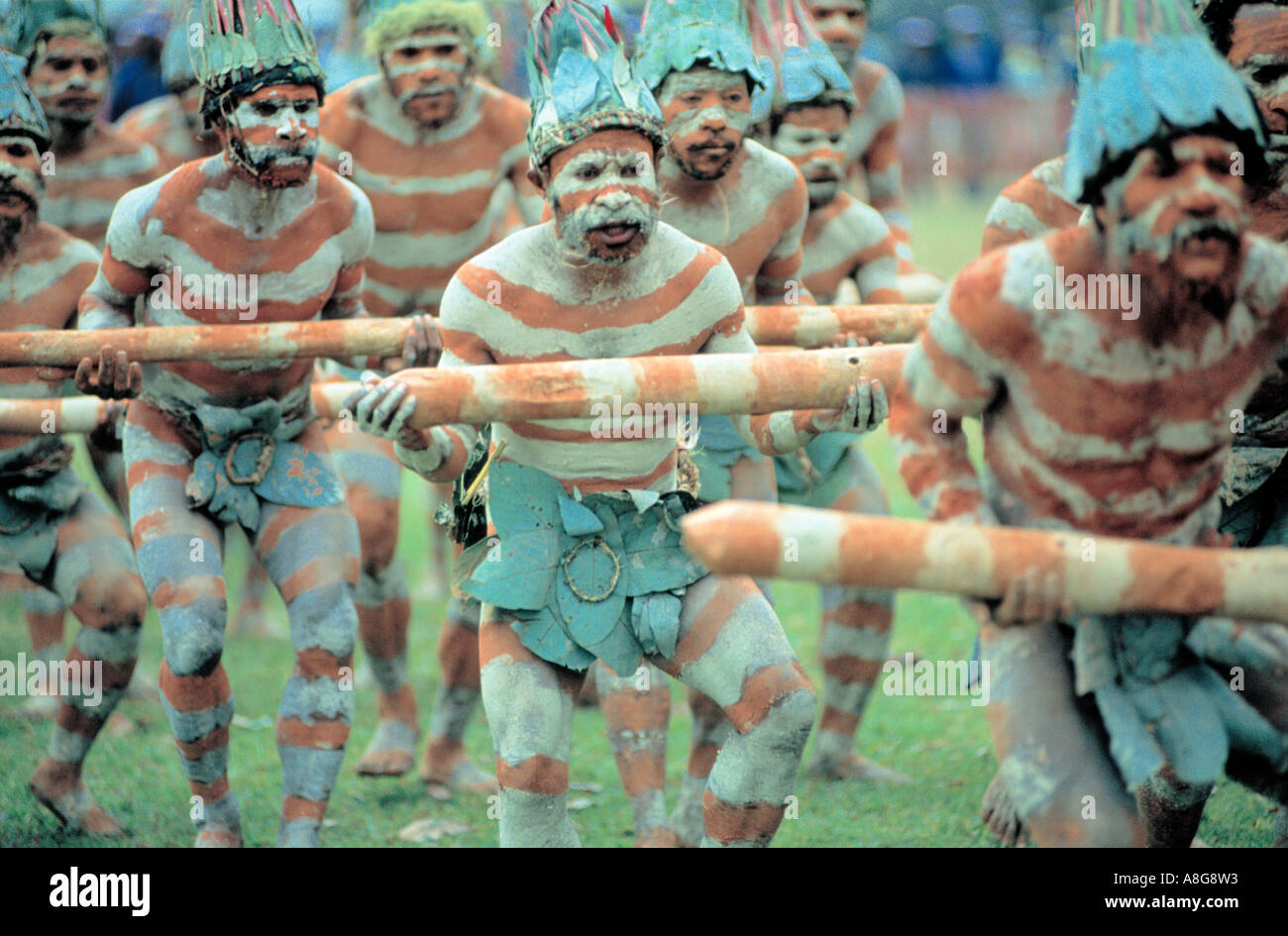 Papua new guinea cannibal tribe