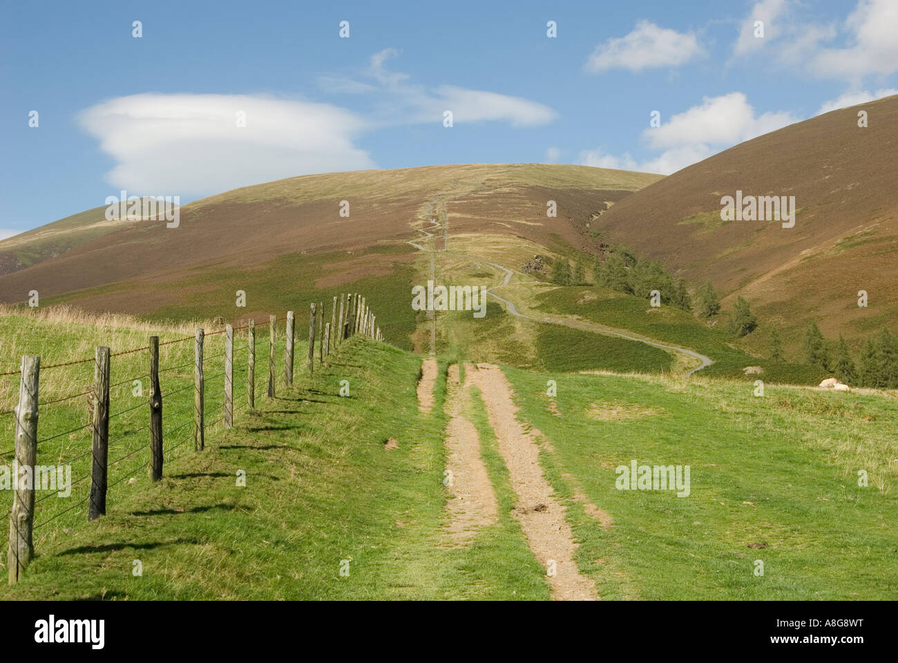 Path to Skiddaw, Lake District Stock Photo - Alamy