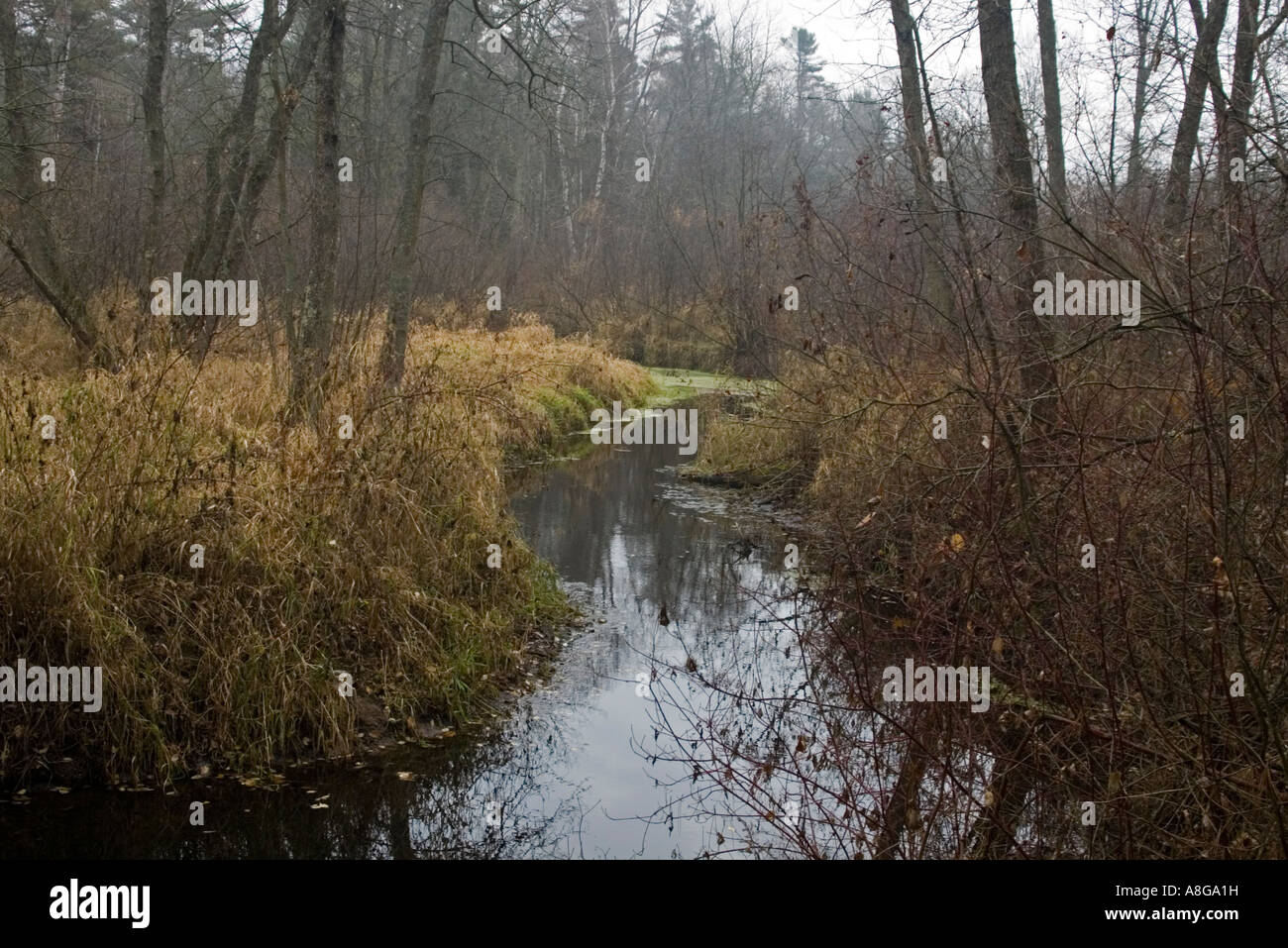 Point beach state forest wisconsin hi-res stock photography and images ...
