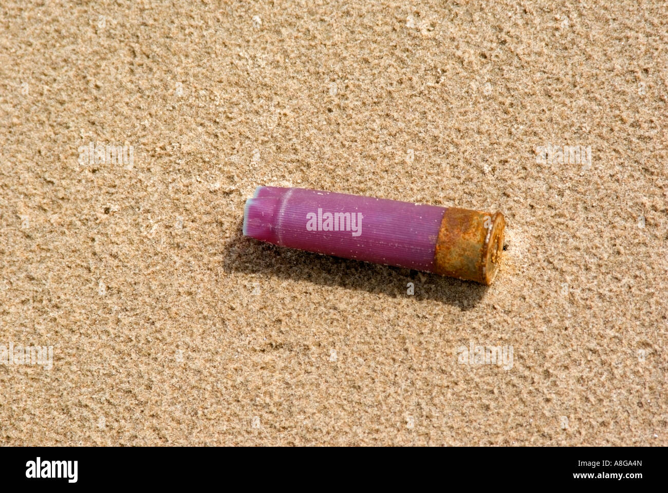 Spent Shotgun Shells