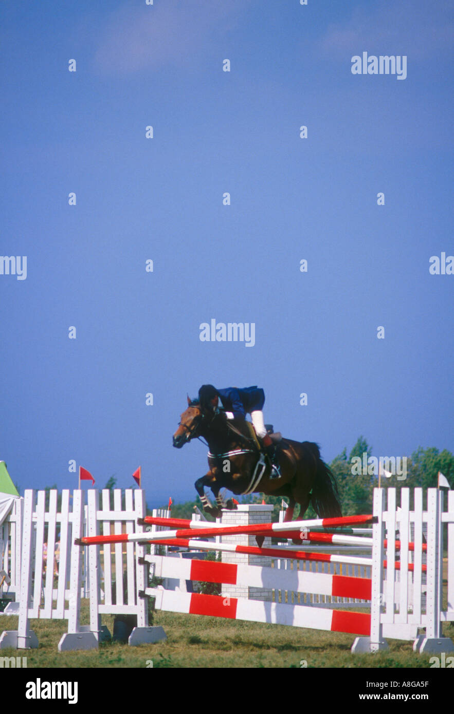 Oxer hi-res stock photography and images - Alamy