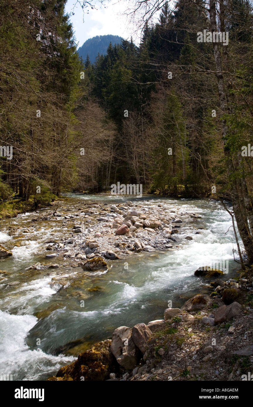 The pine tree lined Dranse River, Morzine-Avoriaz, French Alps, France ...