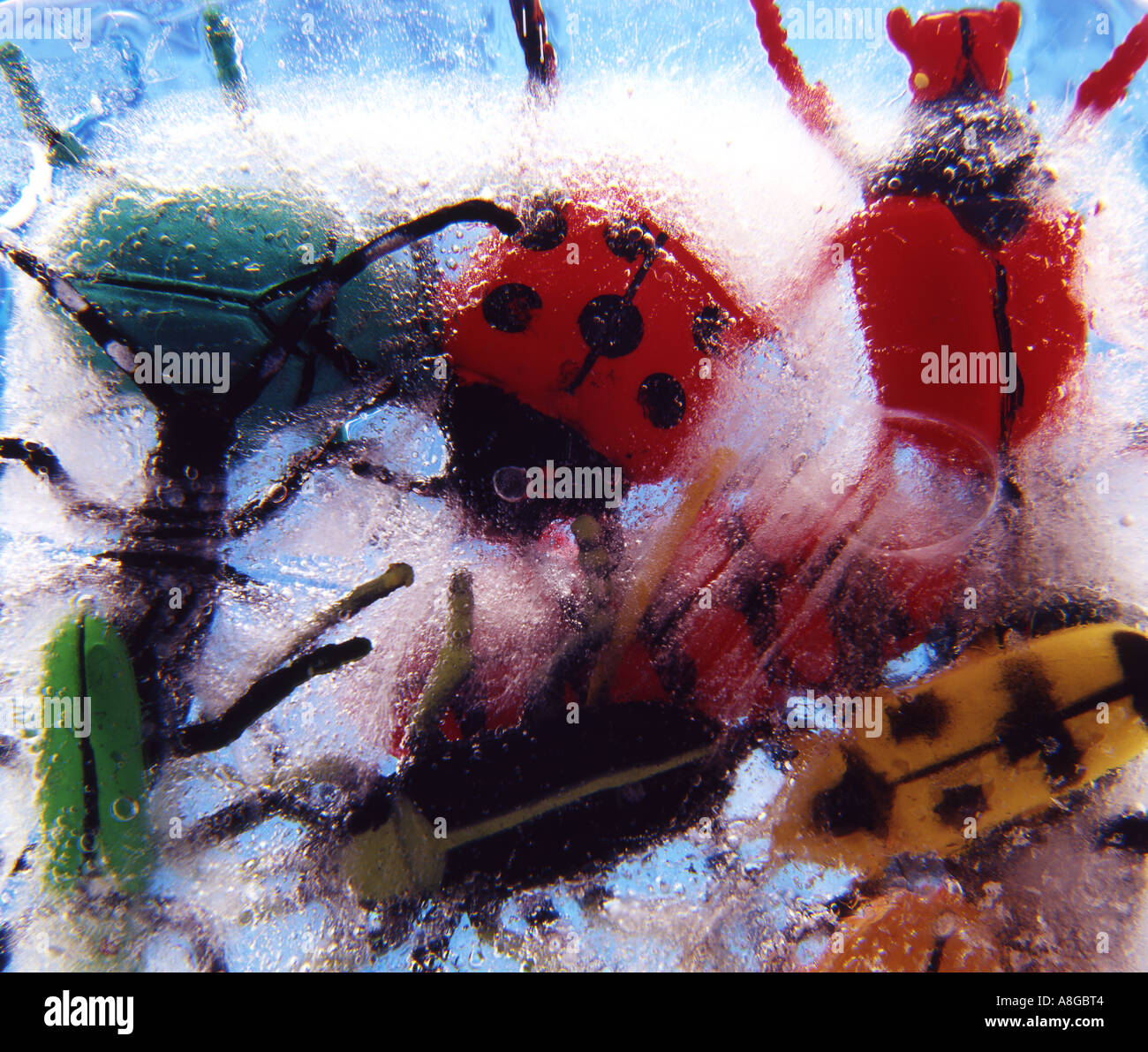 Frozen Toy Bugs Stock Photo - Alamy