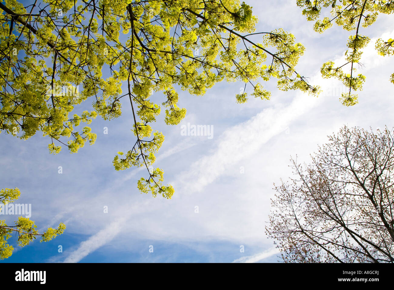 Fruehlingan hi-res stock photography and images - Alamy