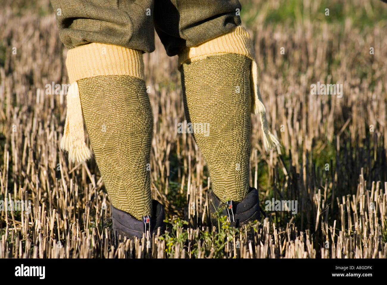 Gentleman legs at pheasant shoot Stock Photo - Alamy