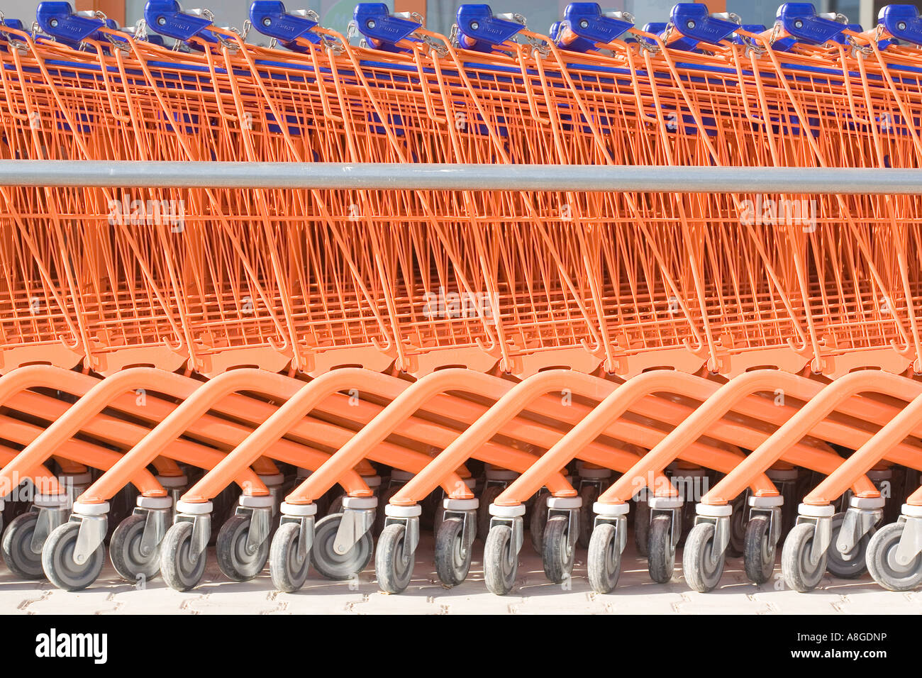 Row of Supermarket Trolleys Stock Photo - Alamy