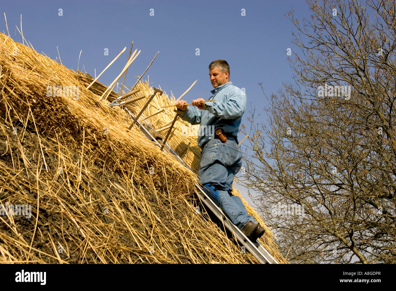 House spar hi-res stock photography and images - Alamy