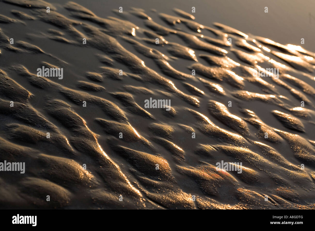 Textures on the Sea Shore Stock Photo - Alamy