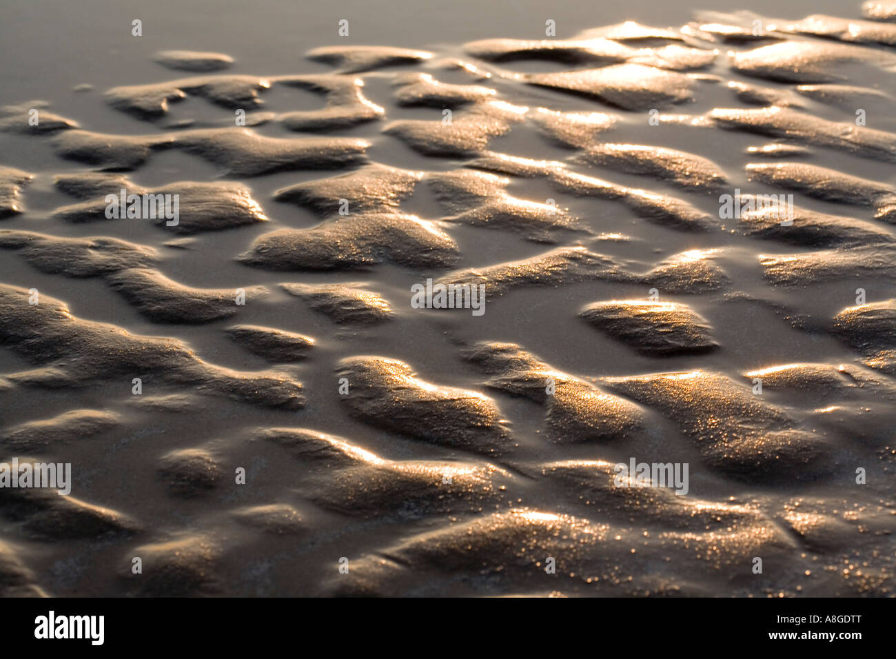 Textures on the Sea Shore Stock Photo - Alamy
