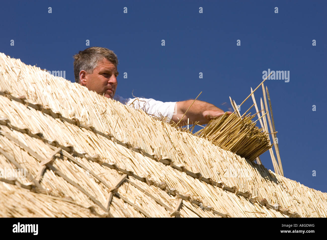 Thatcher working on roof ridge Stock Photo - Alamy