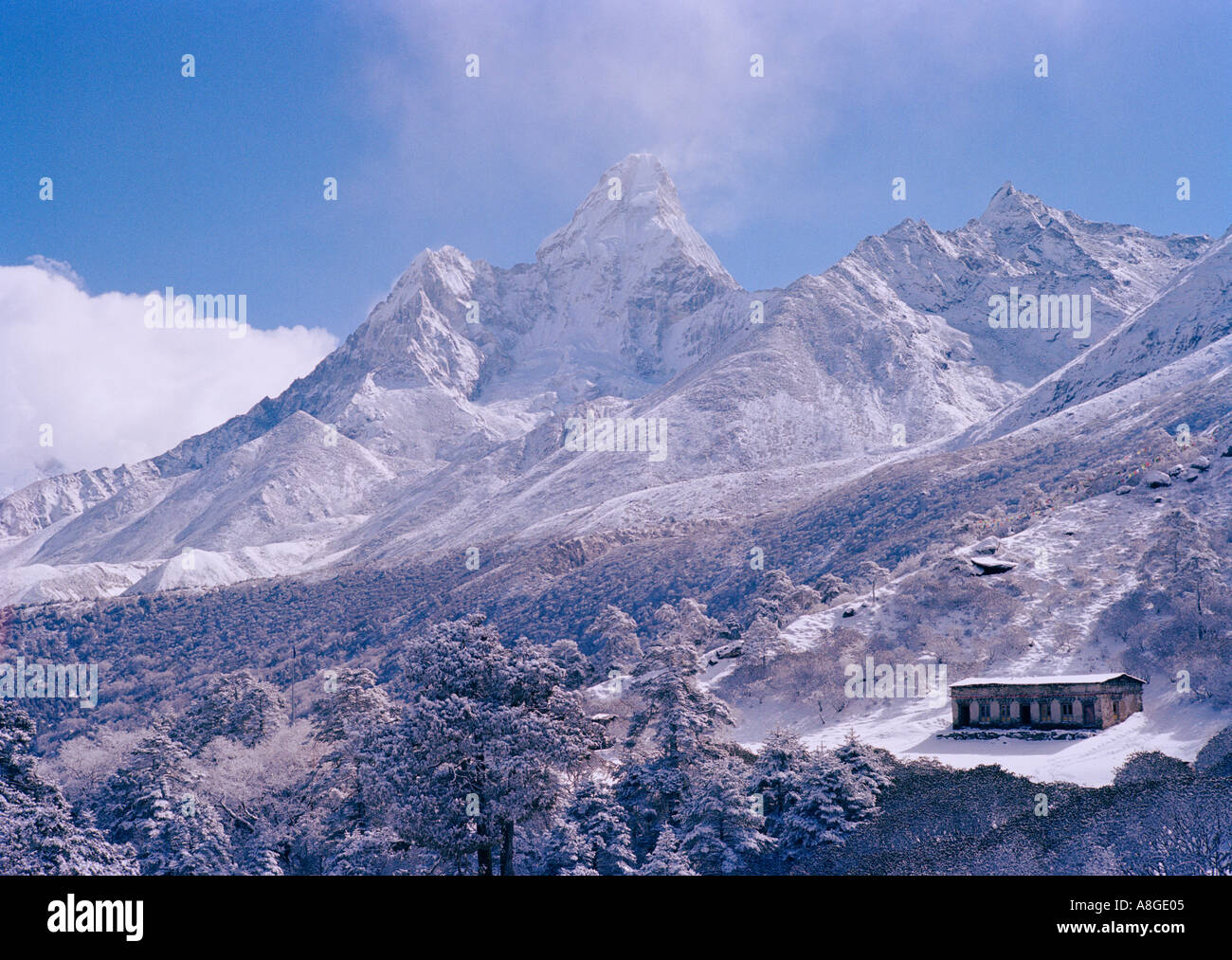 World Travel Himalayas. Landscape in the Himalayan mountains foothills ...