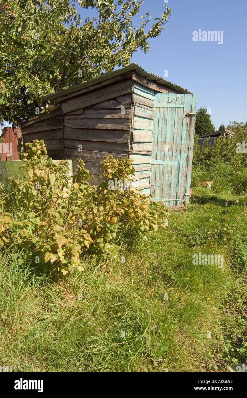 Traditional sow vegetables hi-res stock photography and images - Alamy