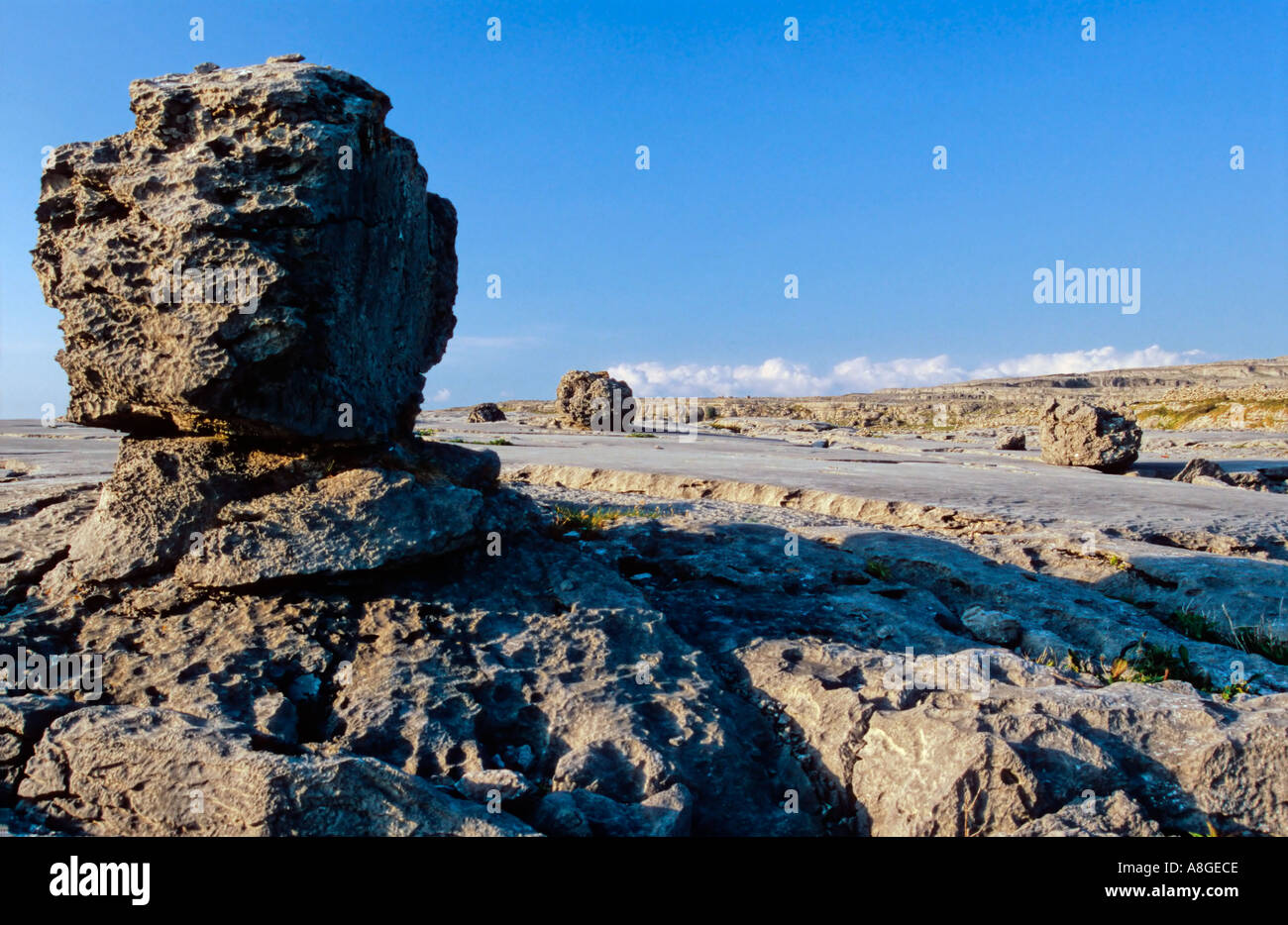 Glacial Erratic at Poulsallagh The Burren Ireland Stock Photo - Alamy