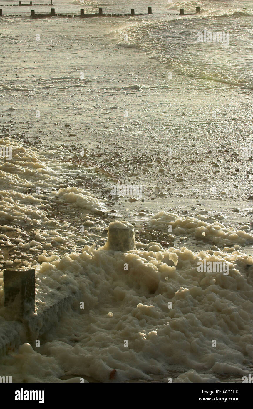 Foam washed up on groyne on beach at Hunstanton Stock Photo - Alamy