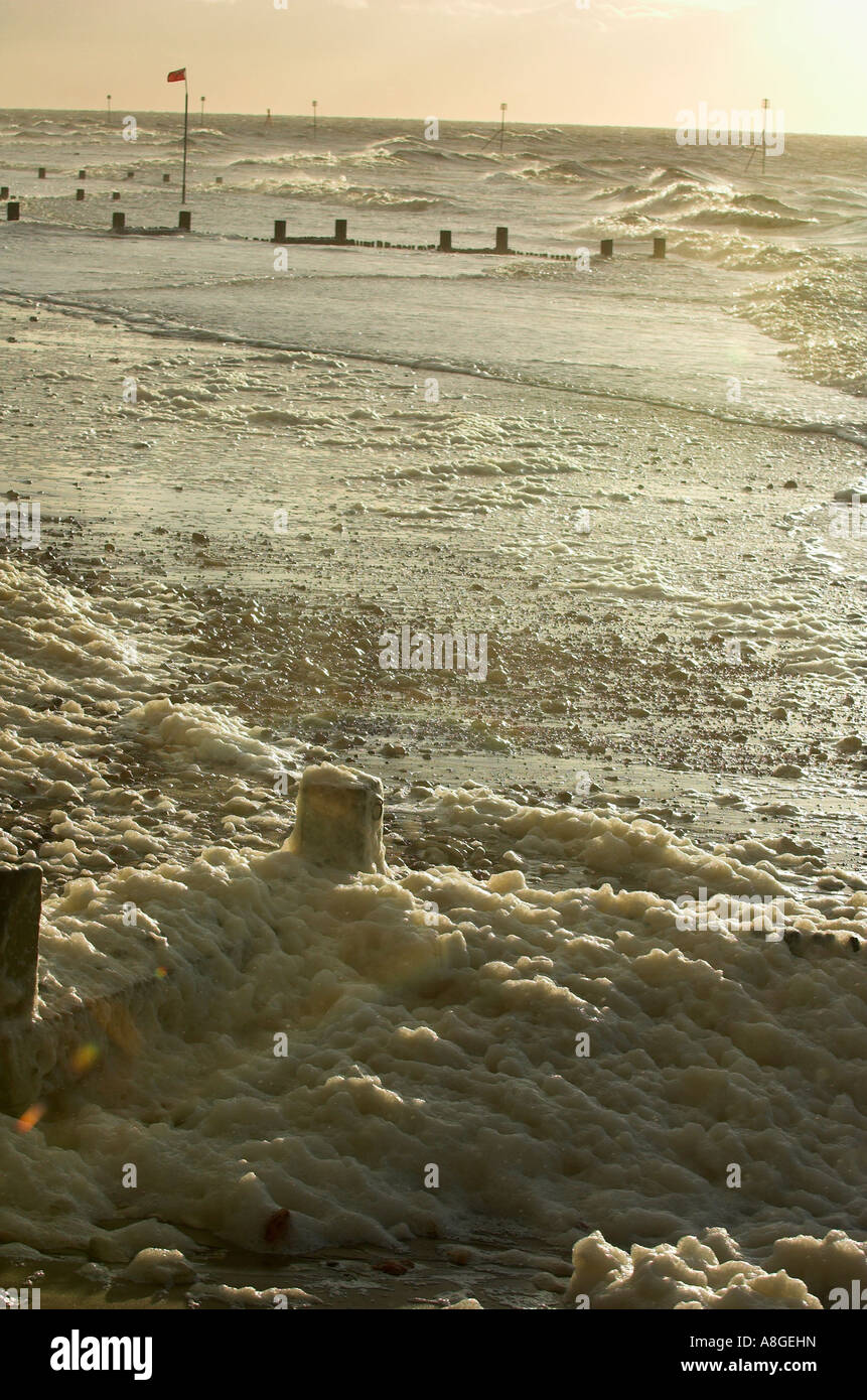 Foam washed up on groyne on beach at Hunstanton Stock Photo - Alamy