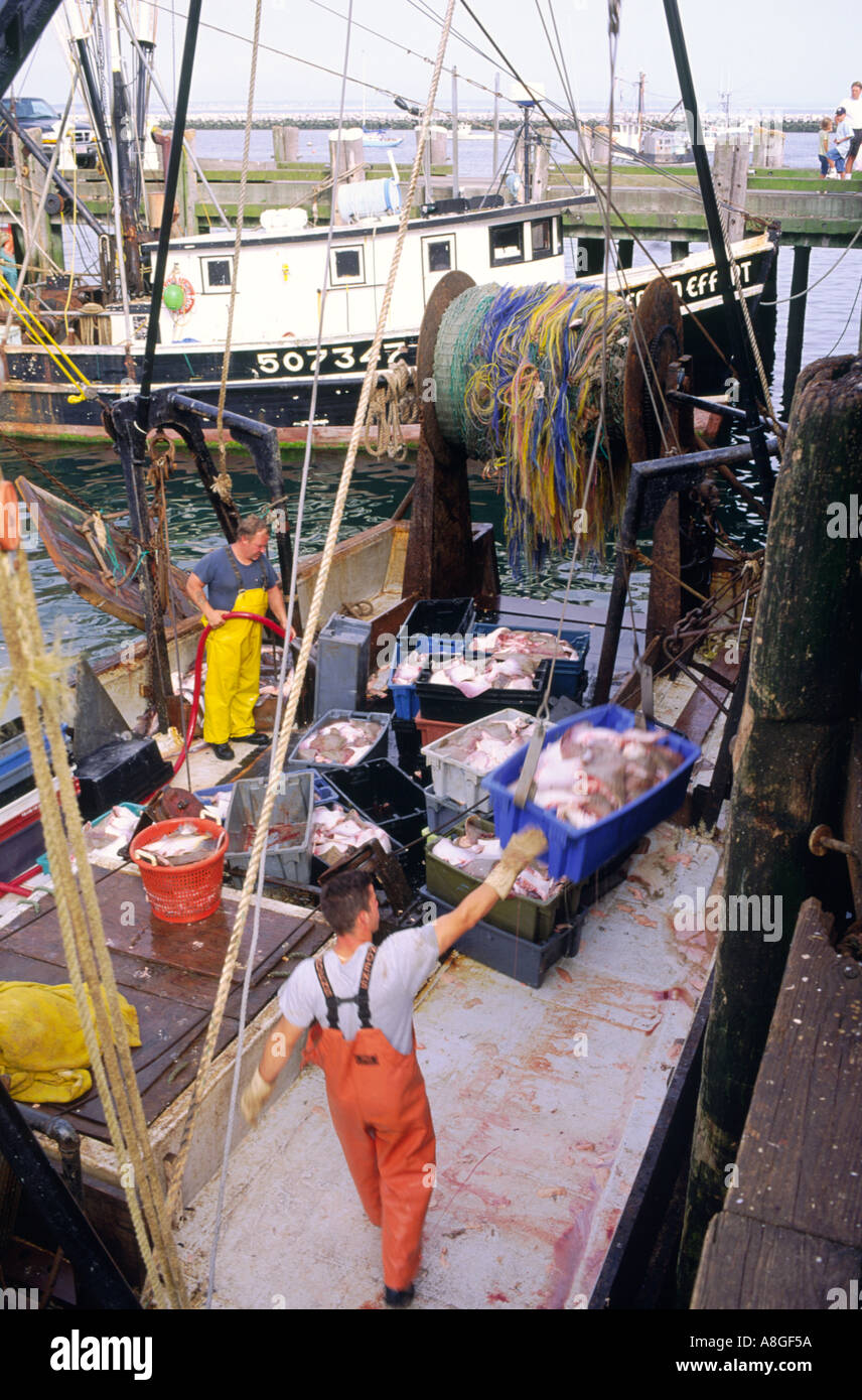 Trawlermen Landing Their Catch Of Fish High Resolution Stock ...