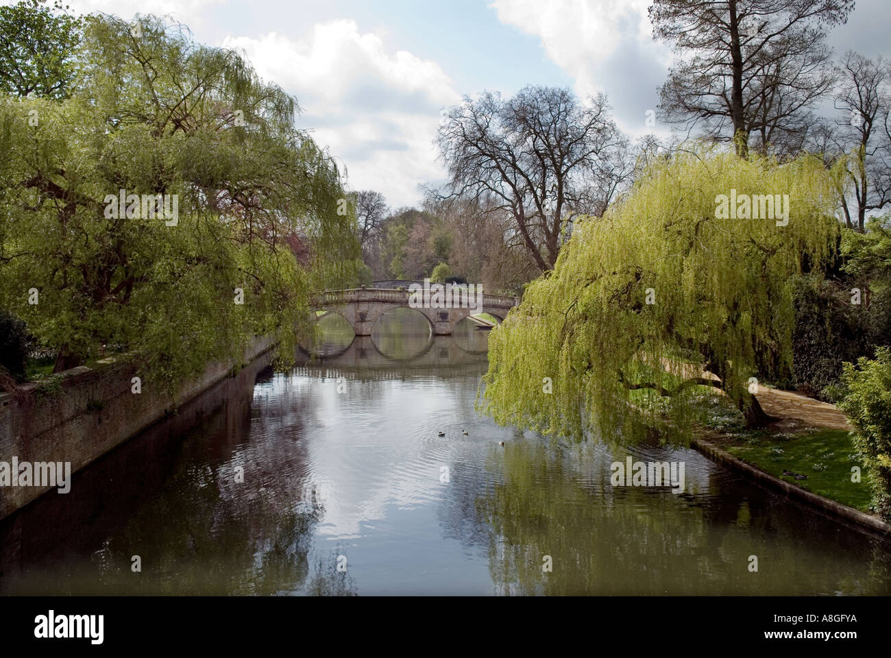 Visit cambridge hi-res stock photography and images - Alamy
