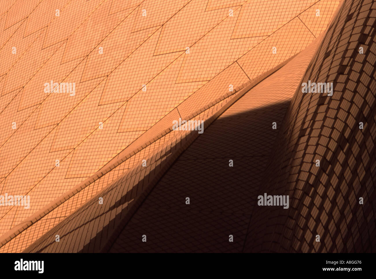 Detail of Sydney Opera House tiles at dusk Stock Photo - Alamy