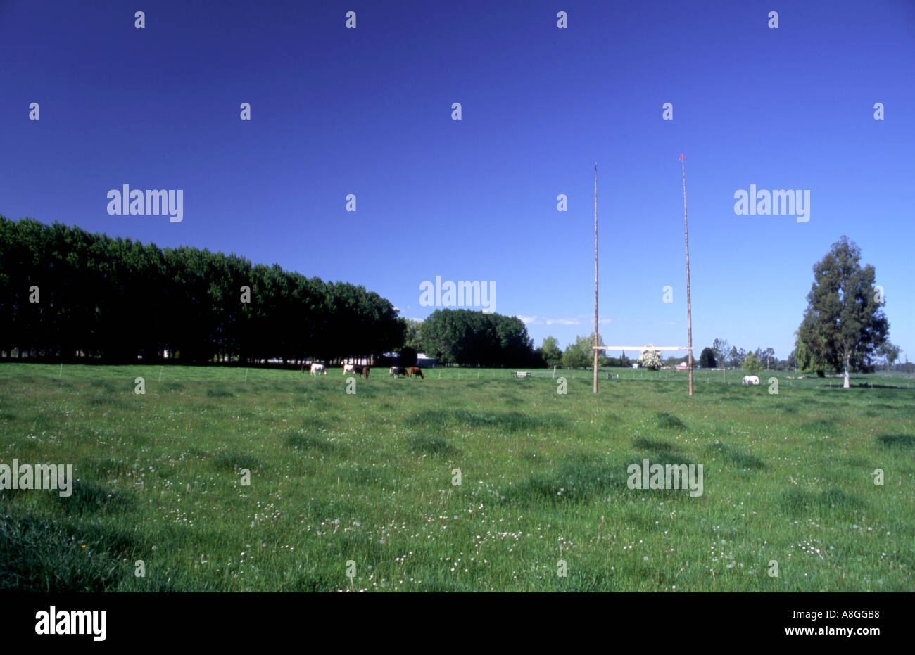 Homemade rugby posts in a rural paddock Geraldine Canterbury South ...