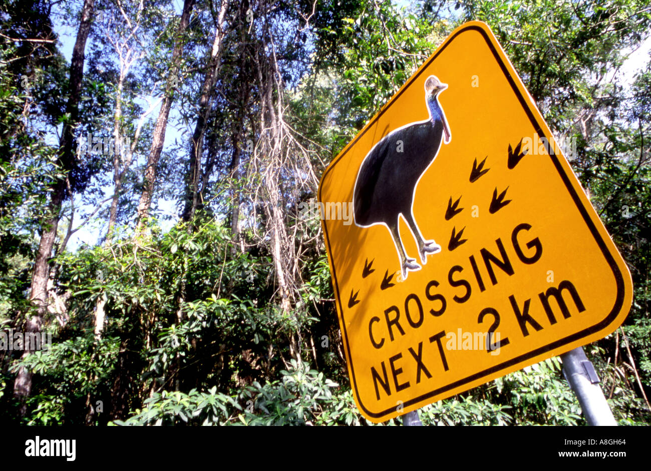 A road sign depicting the danger to cassowaries crossing near Mission ...