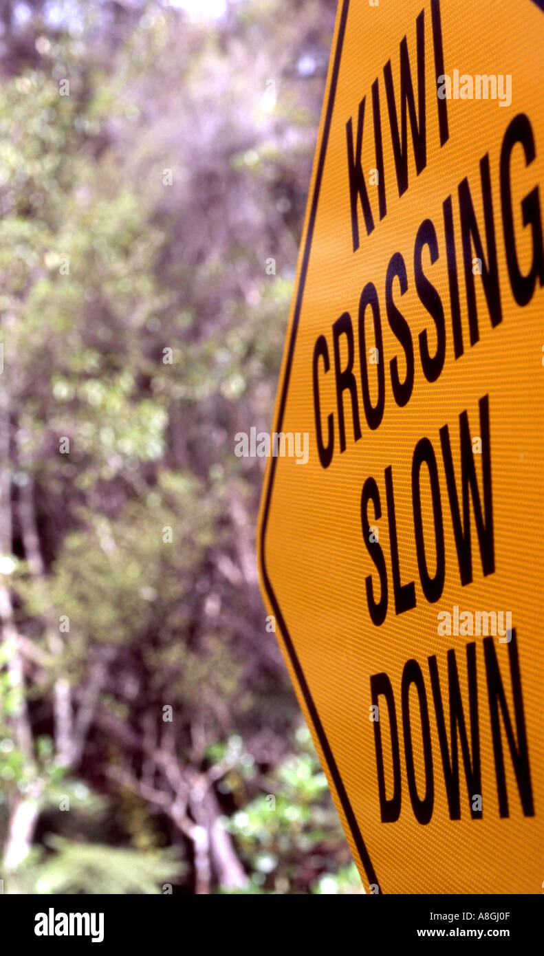 Road sign warning depicting the iconic kiwi New Zealand Stock Photo - Alamy