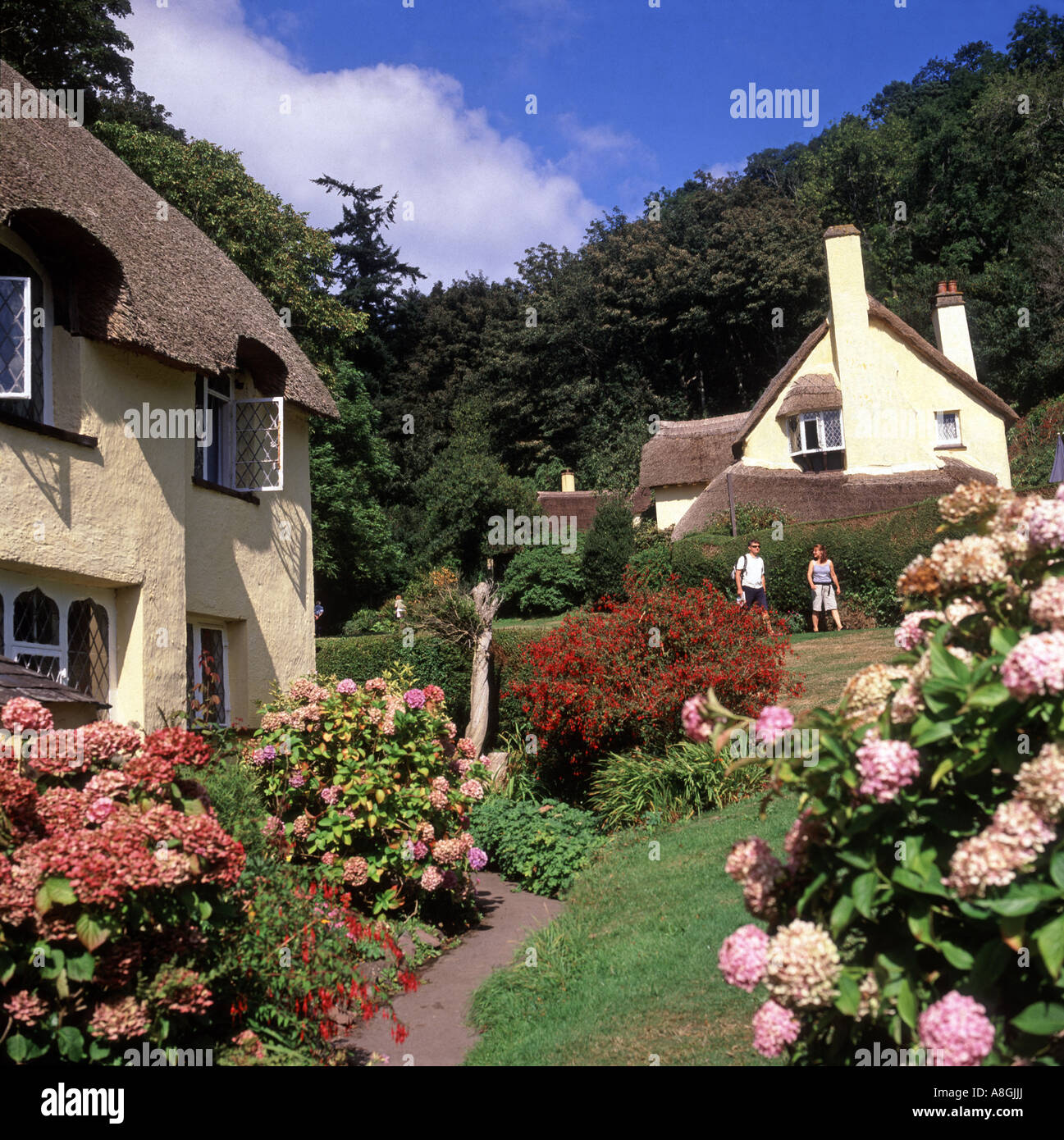 Colourful thatched cottages Stock Photo - Alamy