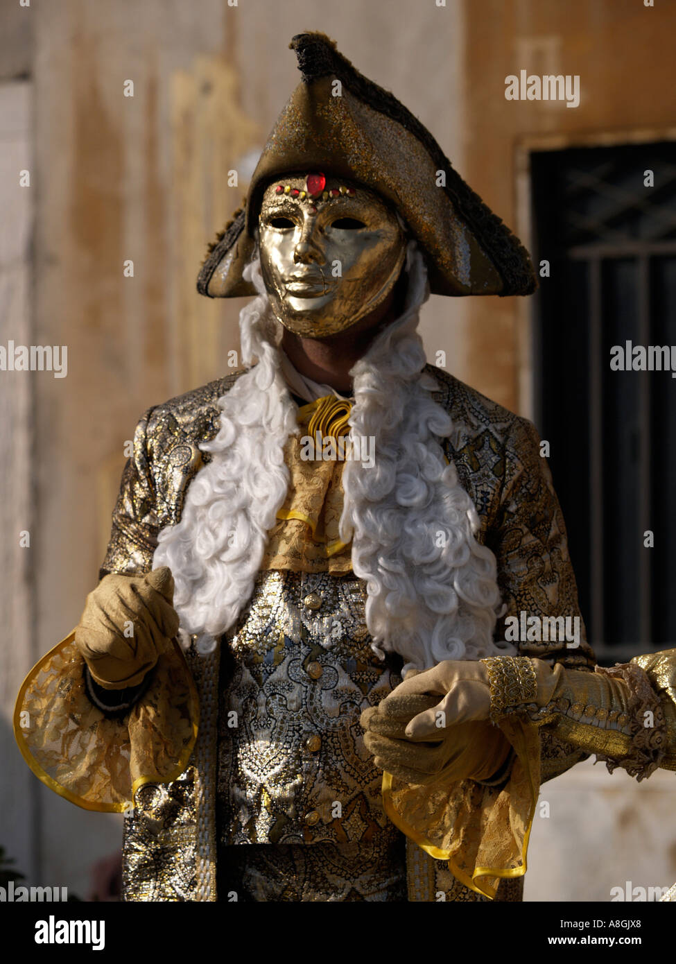 18th century man costume carnevale hi-res stock photography and images ...