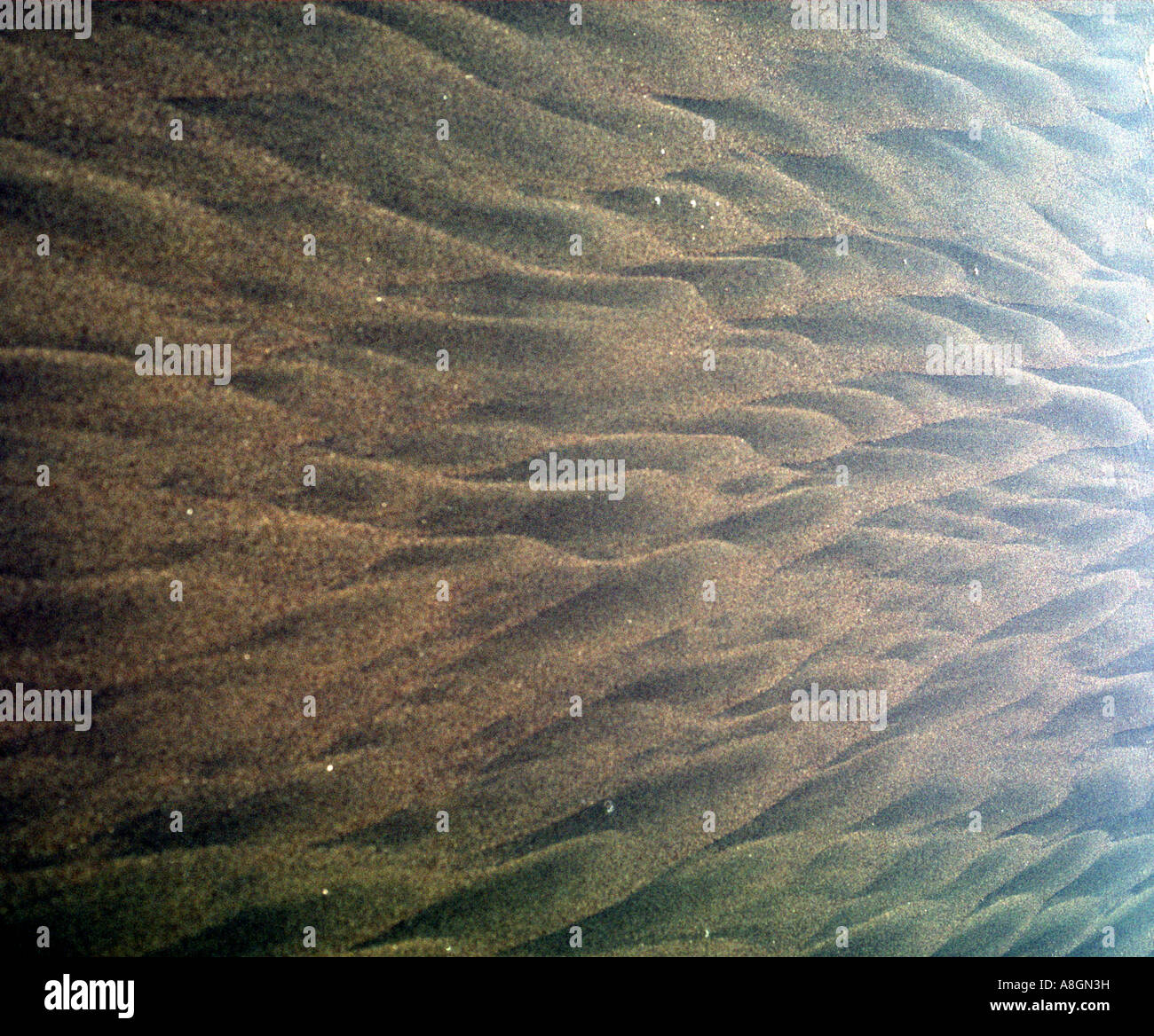 sand patterns from Pacific Ocean wave action at Ocean Beach San ...