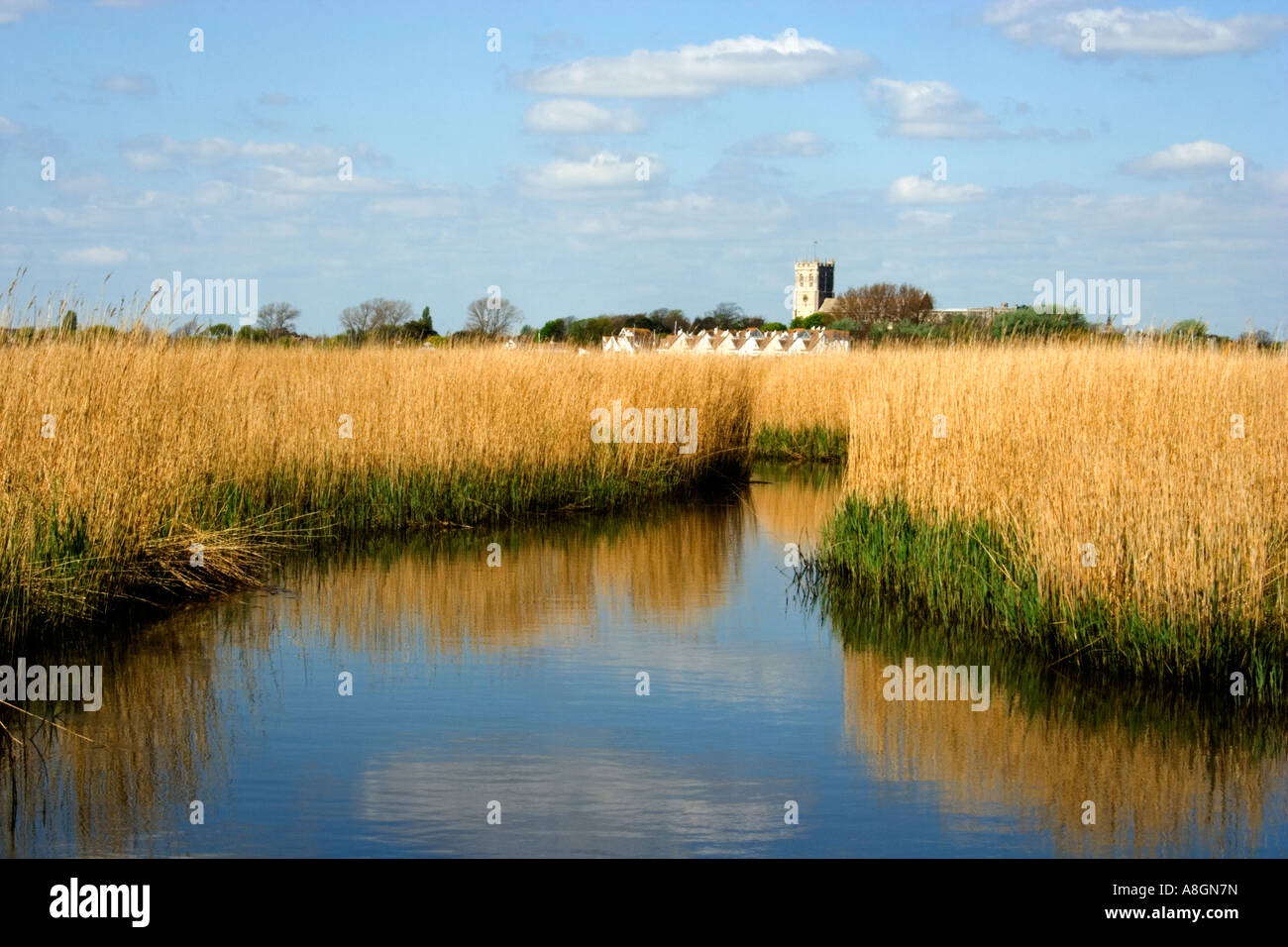 Stanpit Marsh Nature Reserve High Resolution Stock Photography and ...