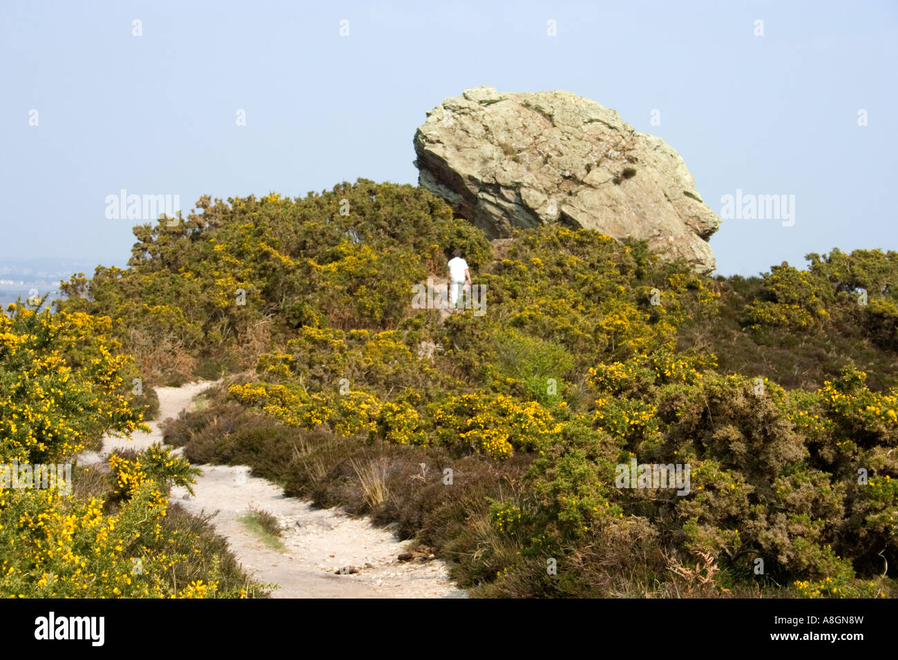 Agglestone Rock, Godlingston Heath, Studland, Isle of Purbeck, Dorset ...