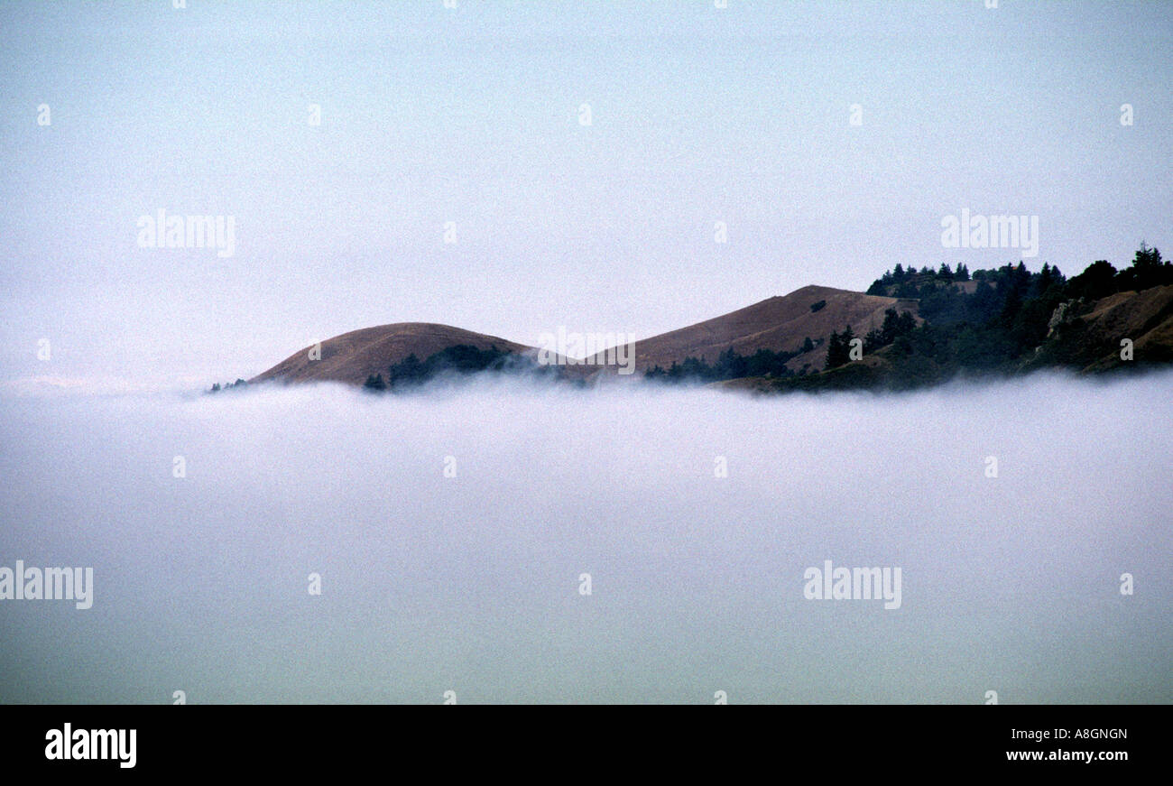fog fills valley in the Santa Cruz Mountains weather climate California ...