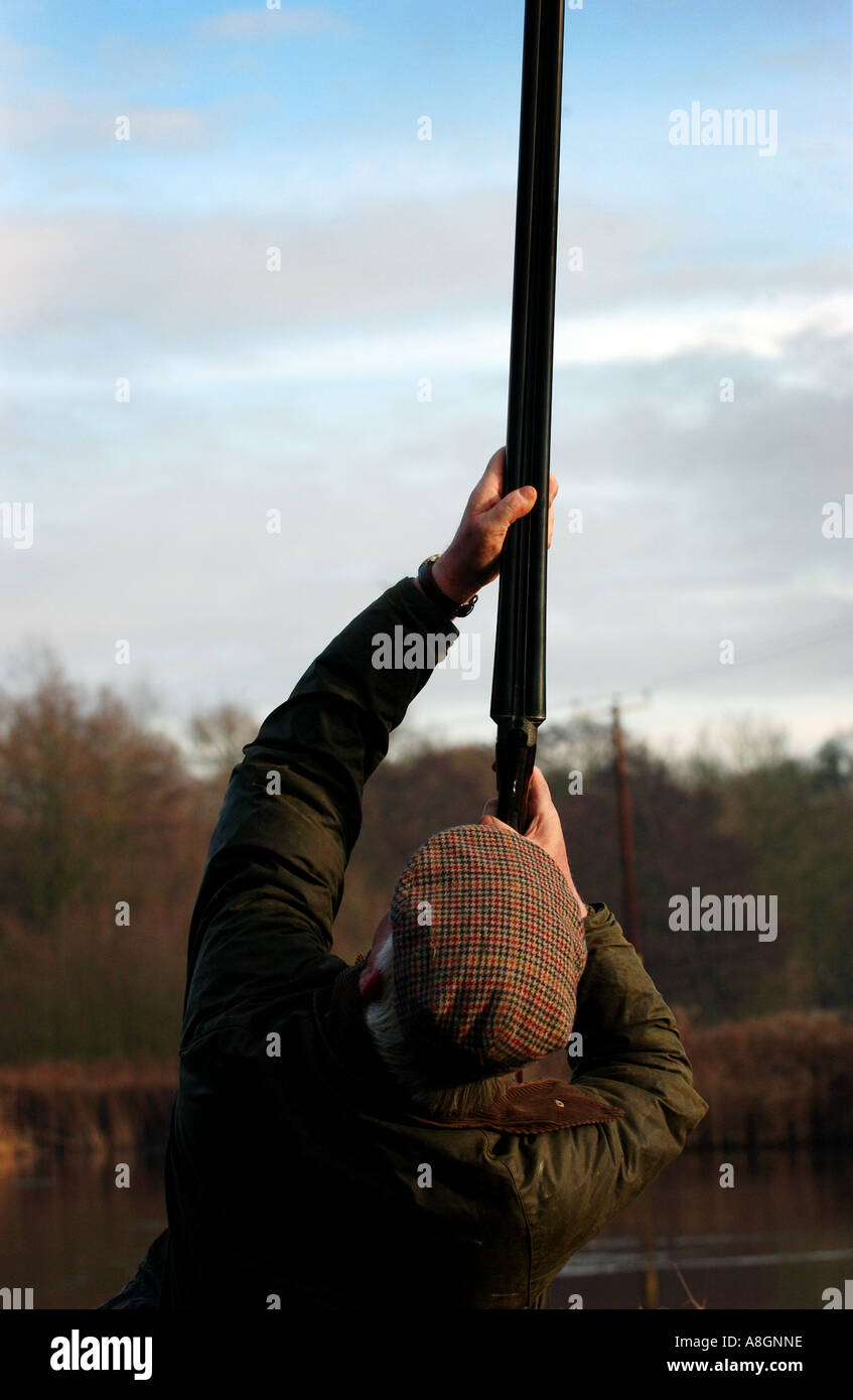 The High Bird Stock Photo - Alamy