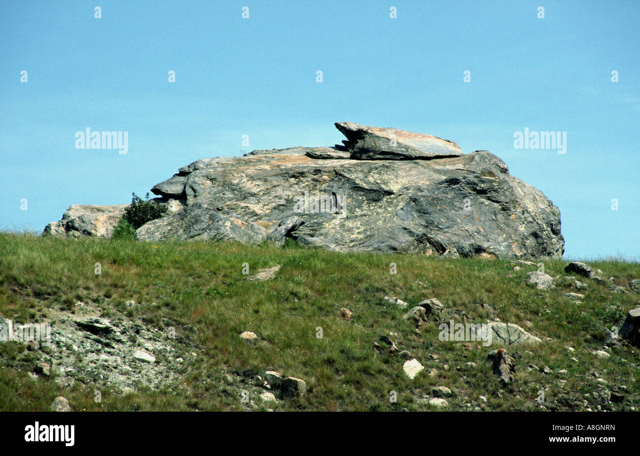 Turtle Rock in the Nature Conservancy s Ring Mountain Preserve Stock ...