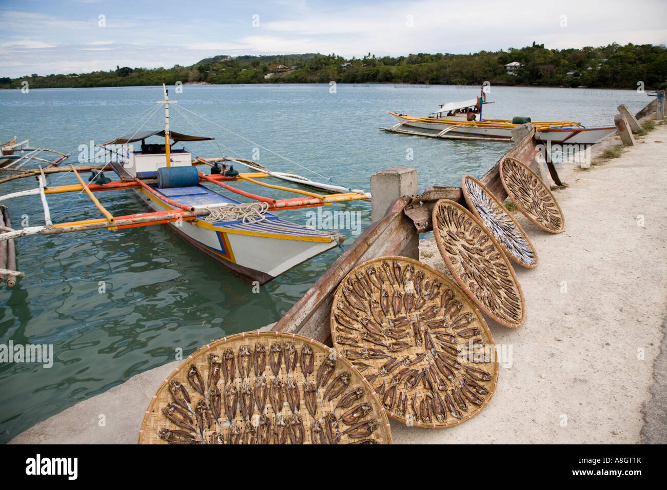 Drying Fish in the Sun, Tagbilaran, Bohol, The Philippines Stock Photo ...