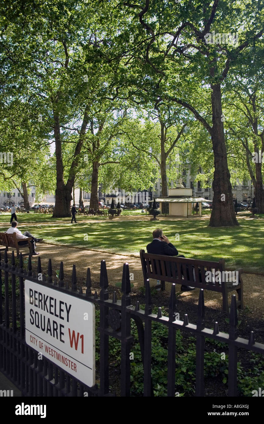 Berkeley Square Trees High Resolution Stock Photography and Images - Alamy