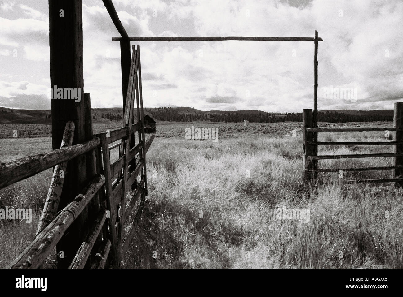 Ranch fenceline hi-res stock photography and images - Alamy