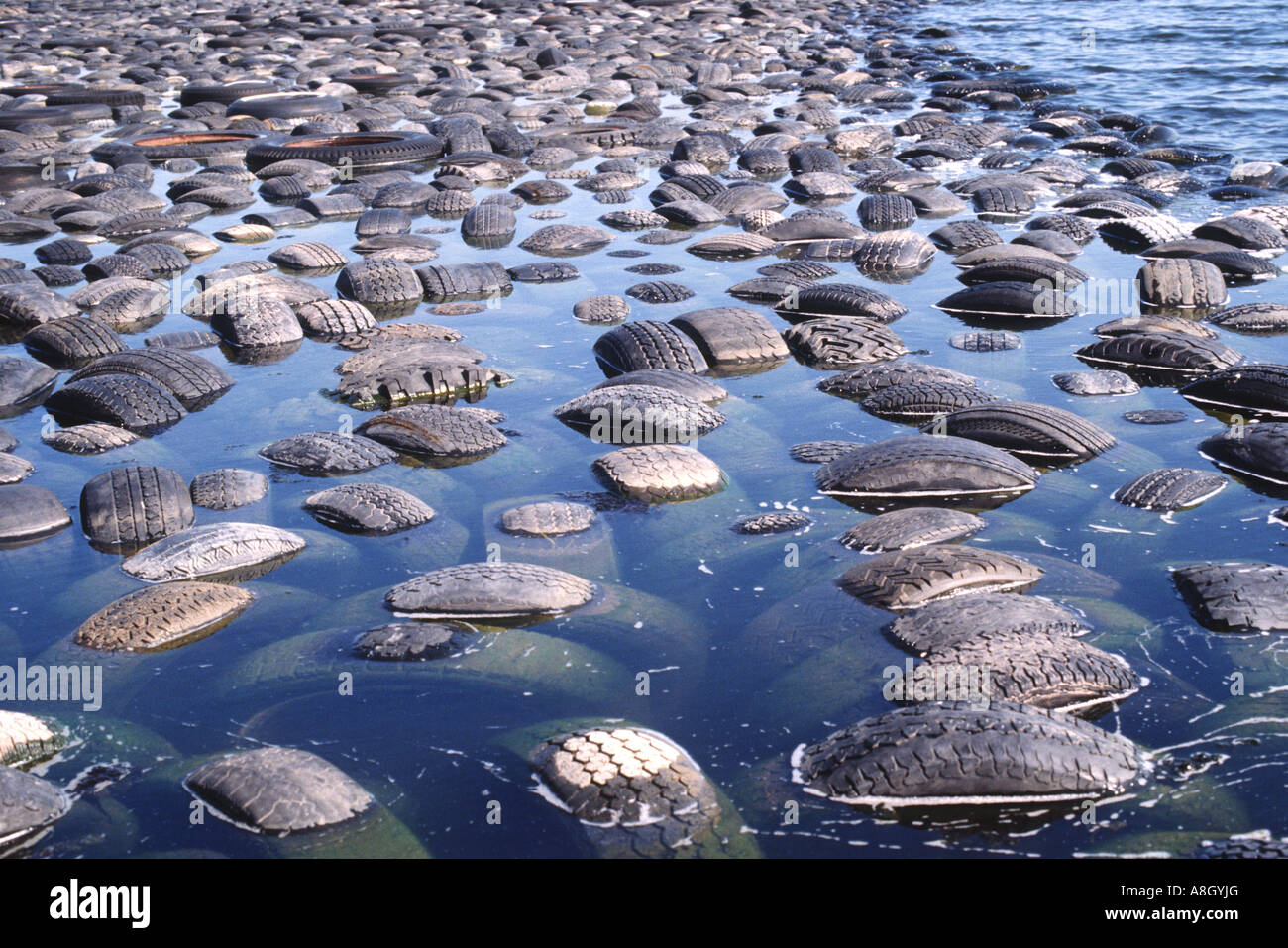Gomas hi-res stock photography and images - Alamy