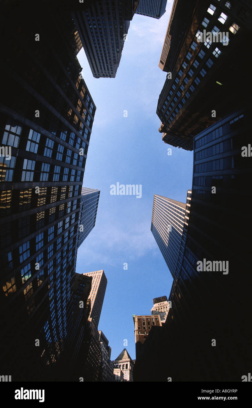 Midtown sky with fisheye lens, NYC Stock Photo - Alamy