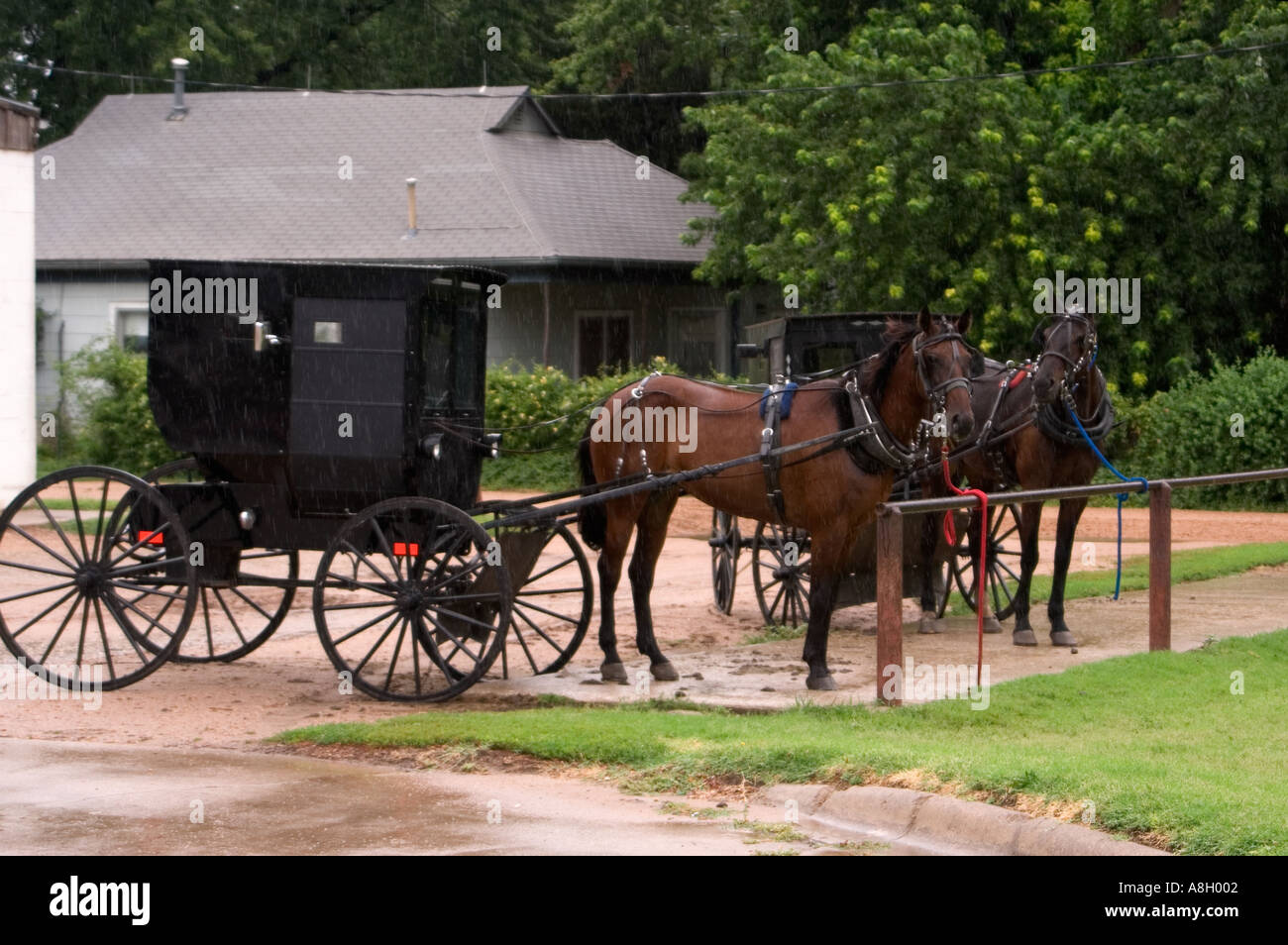 Amish Carriages in Rain Tied to Hitching Post Yoder Kansas Stock Photo ...