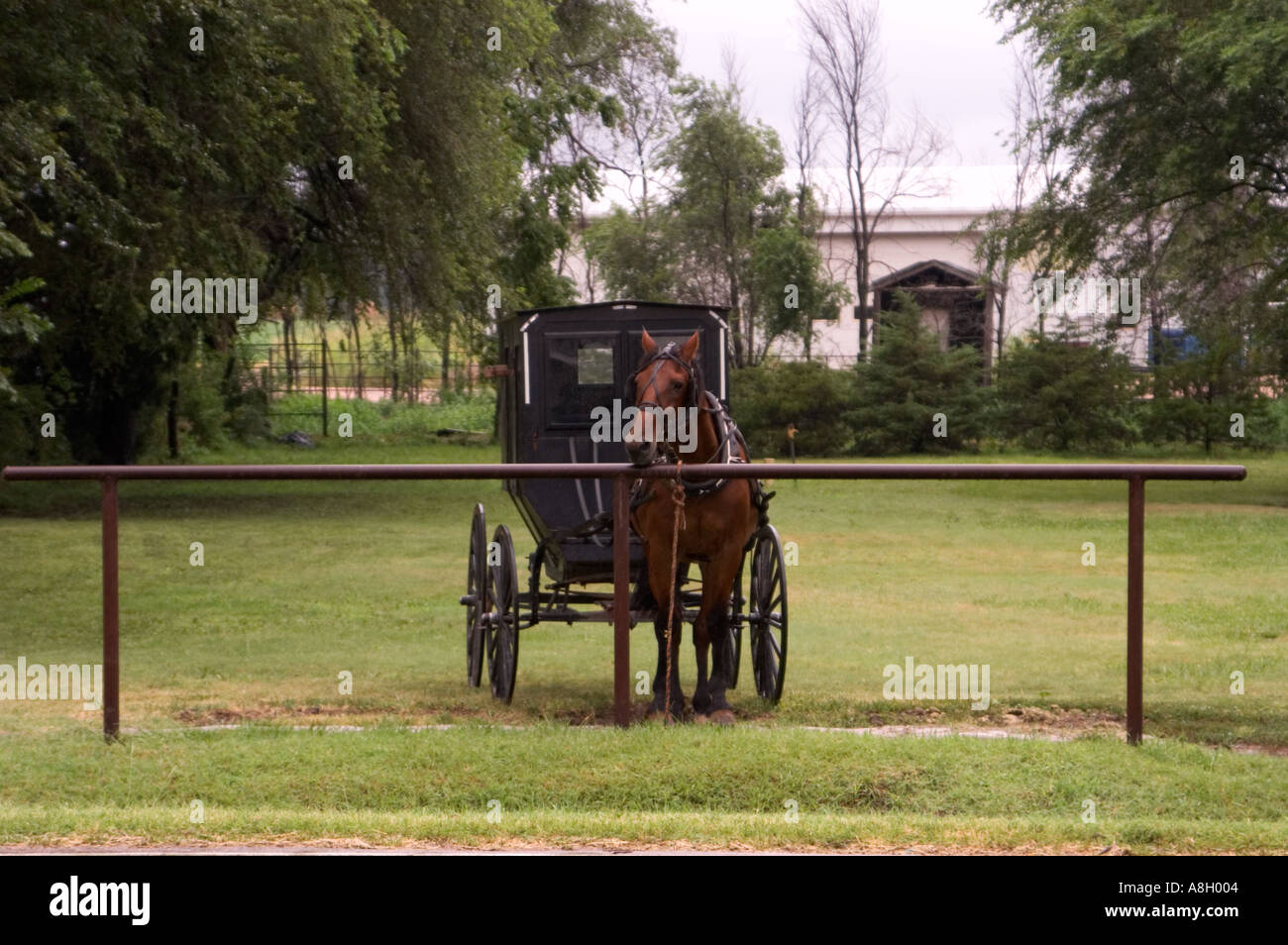 Amish Carriage in Rain Tied to Hitching Post Yoder Kansas Stock Photo ...