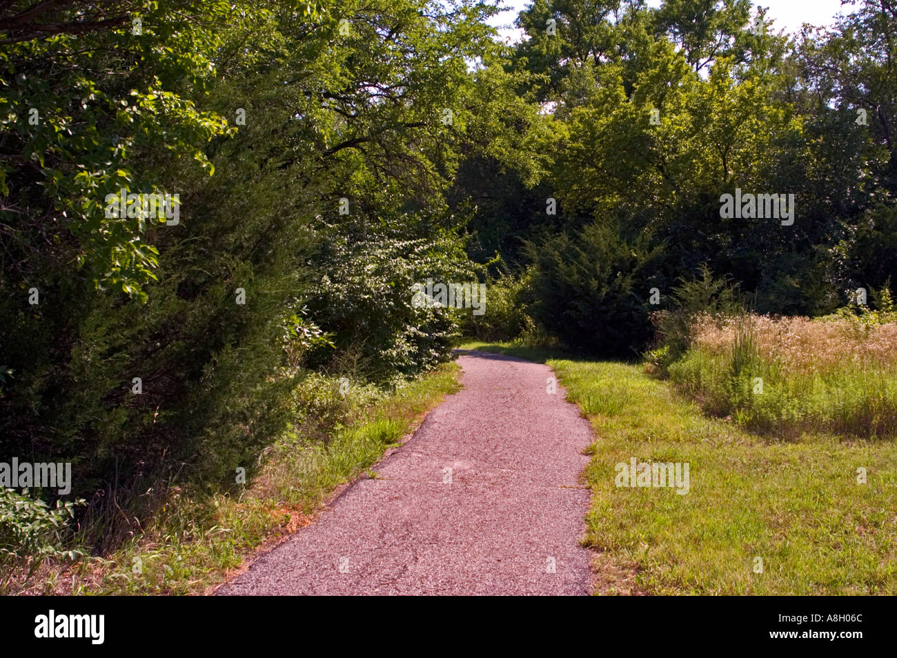 Wichita plant hi-res stock photography and images - Alamy