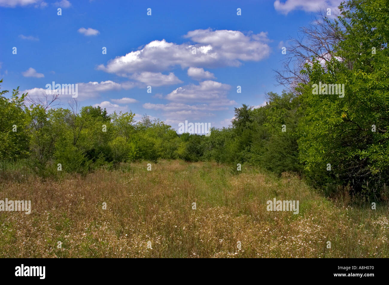 Great Plains Nature Center Wichita Kansas Stock Photo - Alamy